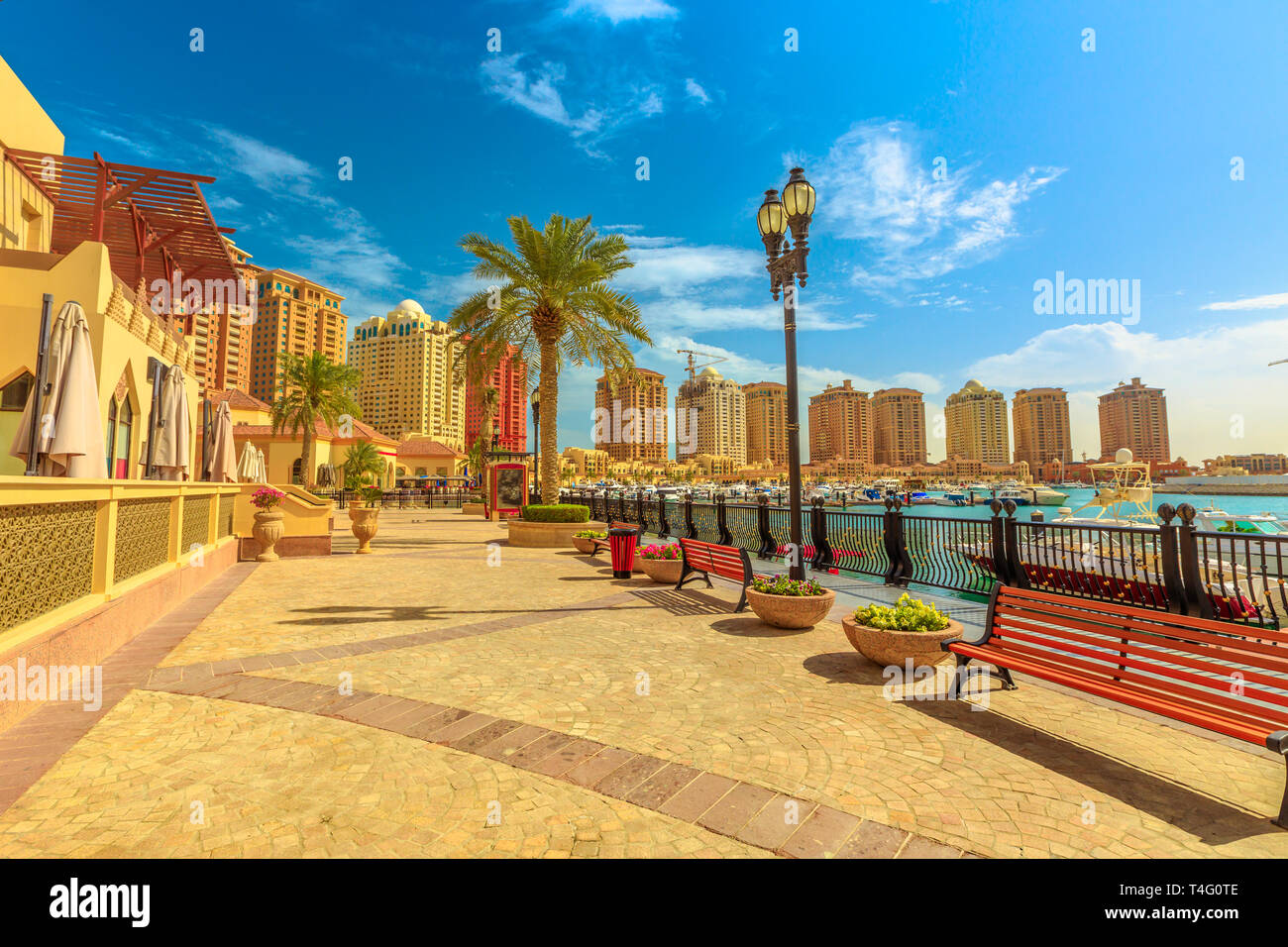 Benches and palm trees along marina walkway promenade in Porto Arabia ...