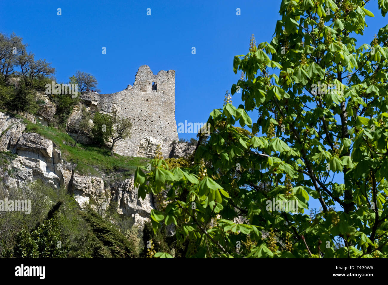 The ruins of the castle of Canossa, Emilia-Romagna/ Italy Stock Photo ...