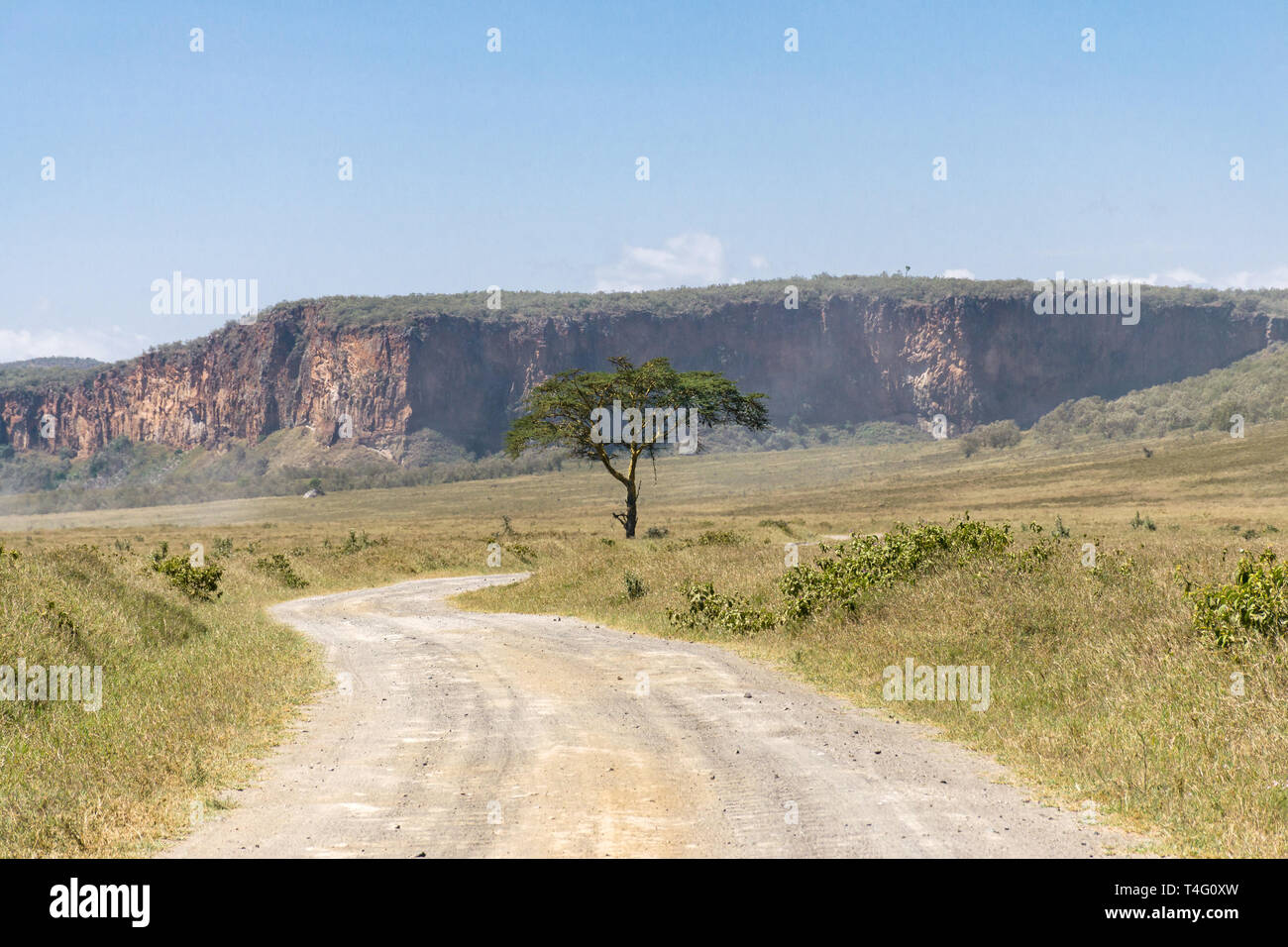 Acacia valley hi-res stock photography and images - Alamy