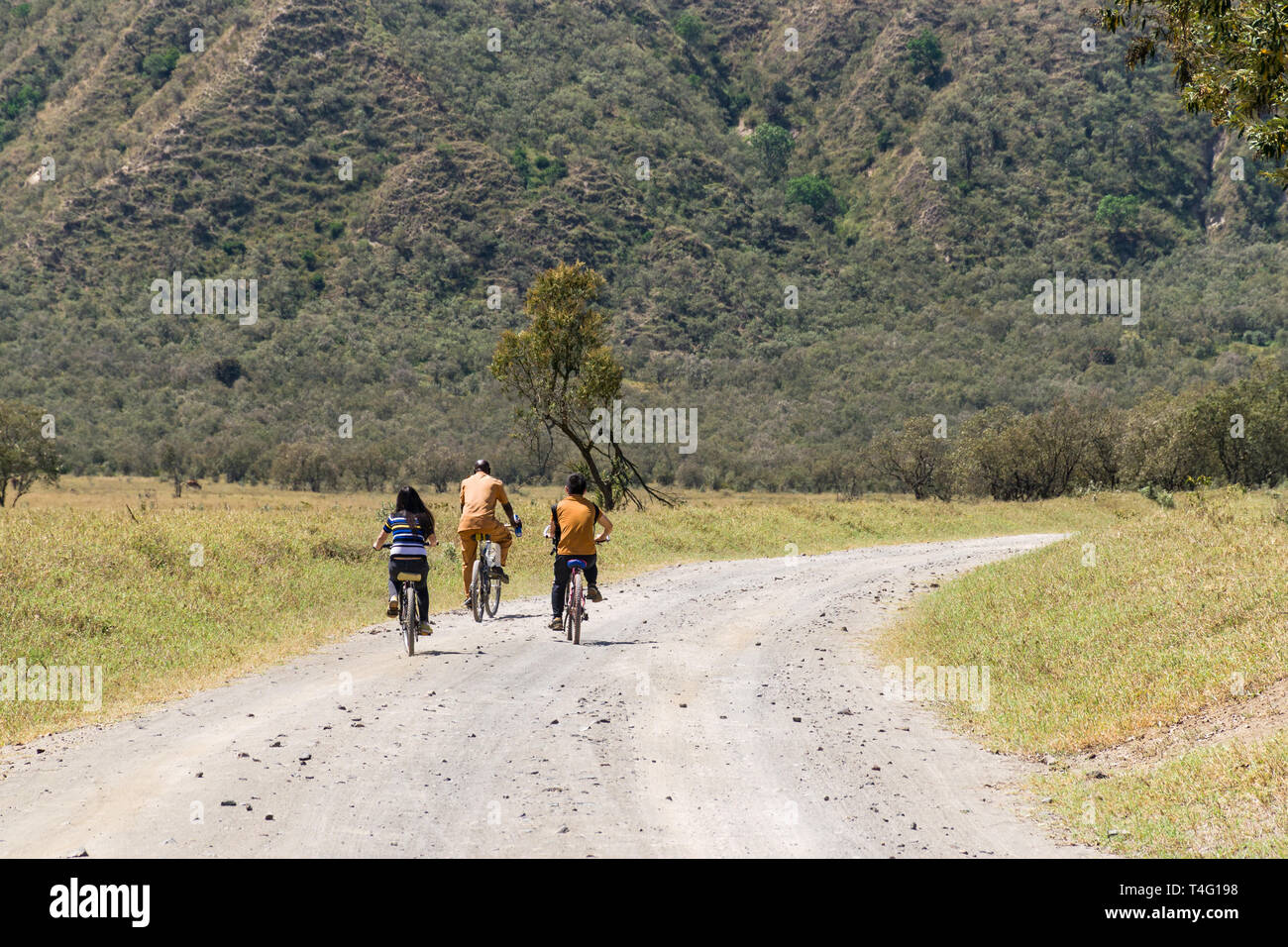 Tourists with guide riding bicycles on a dusty road, Hells Gate ...