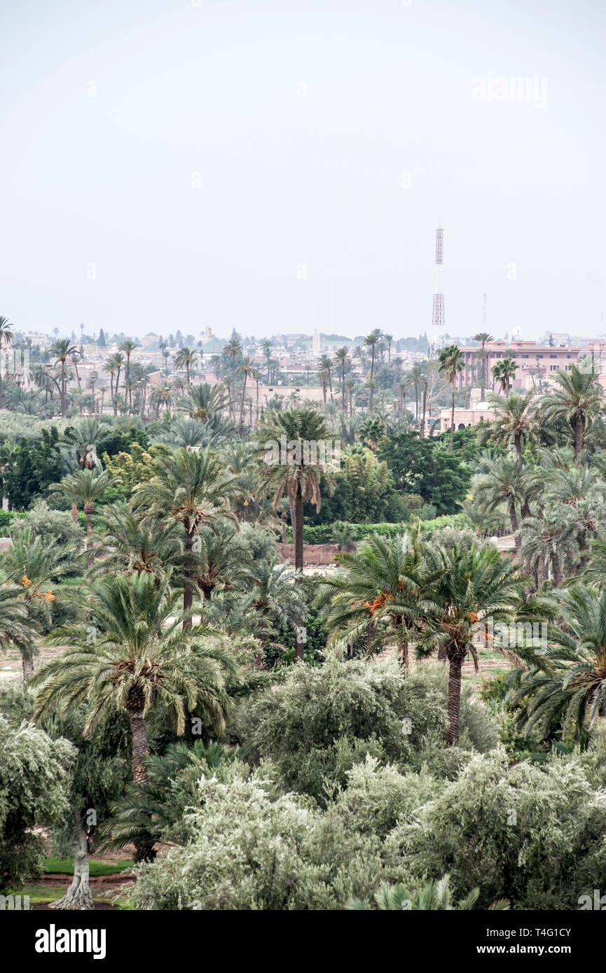 marrakech morocco rooftop view Stock Photo - Alamy