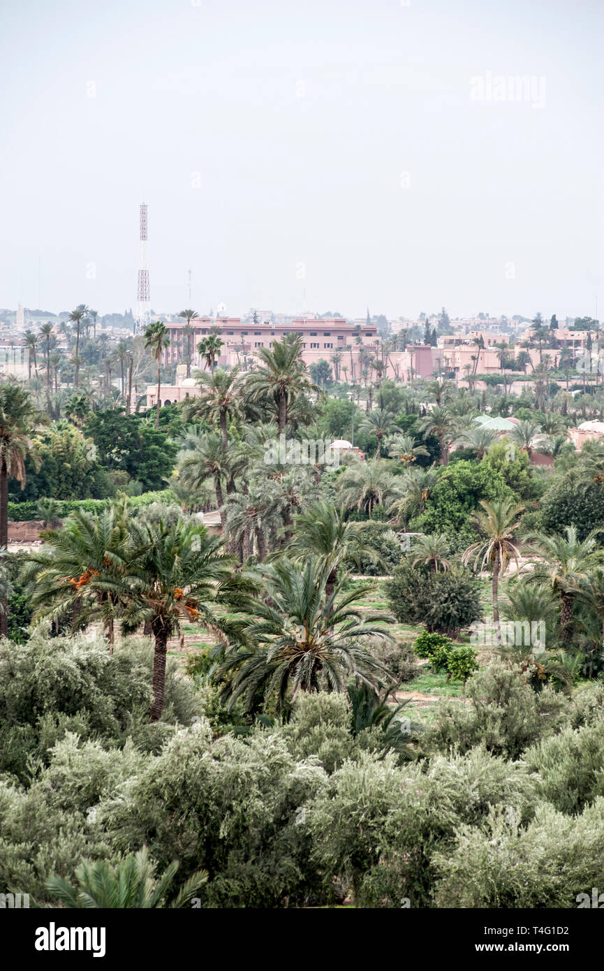 marrakech morocco rooftop view Stock Photo - Alamy