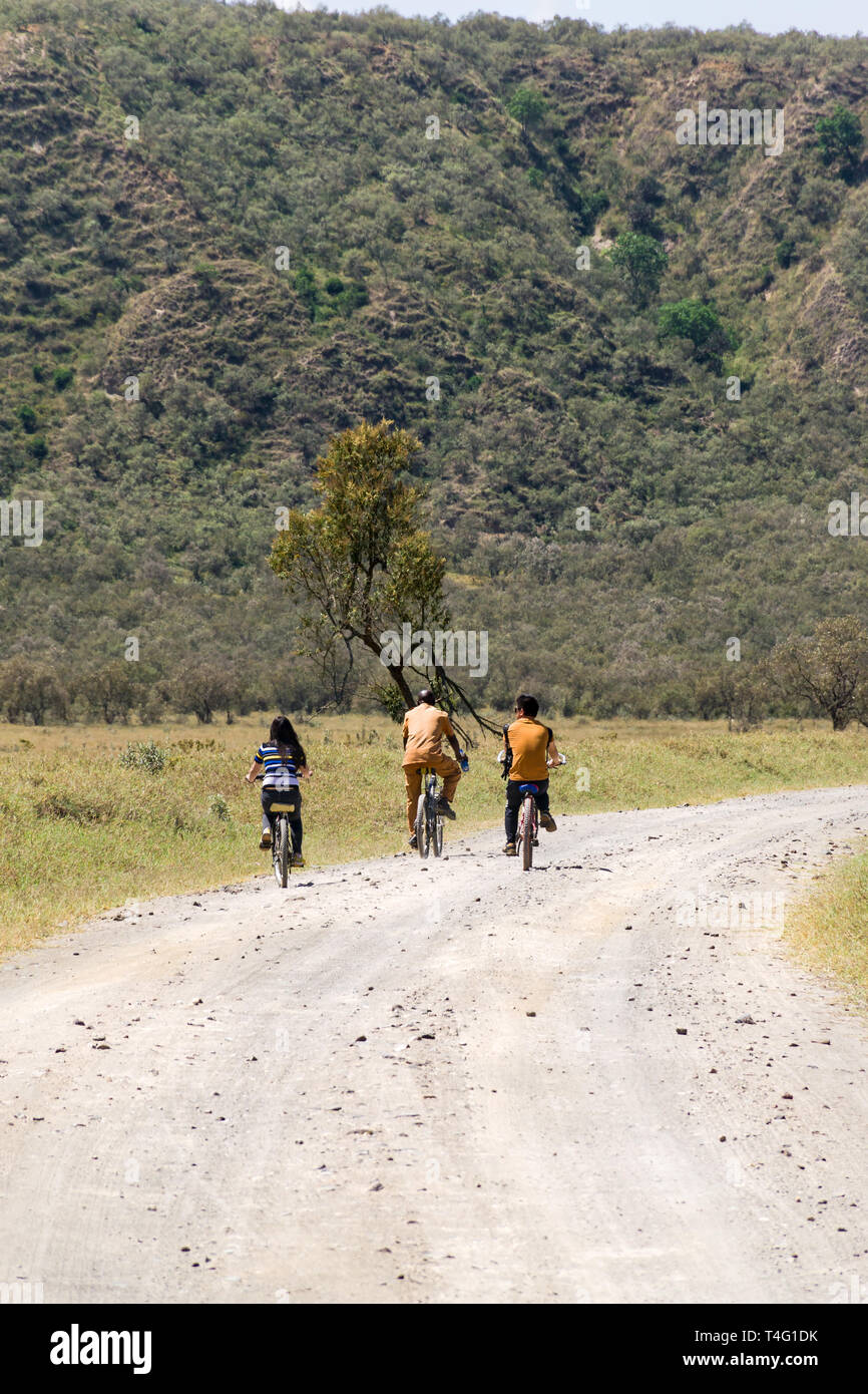 Tourists with guide riding bicycles on a dusty road, Hells Gate ...