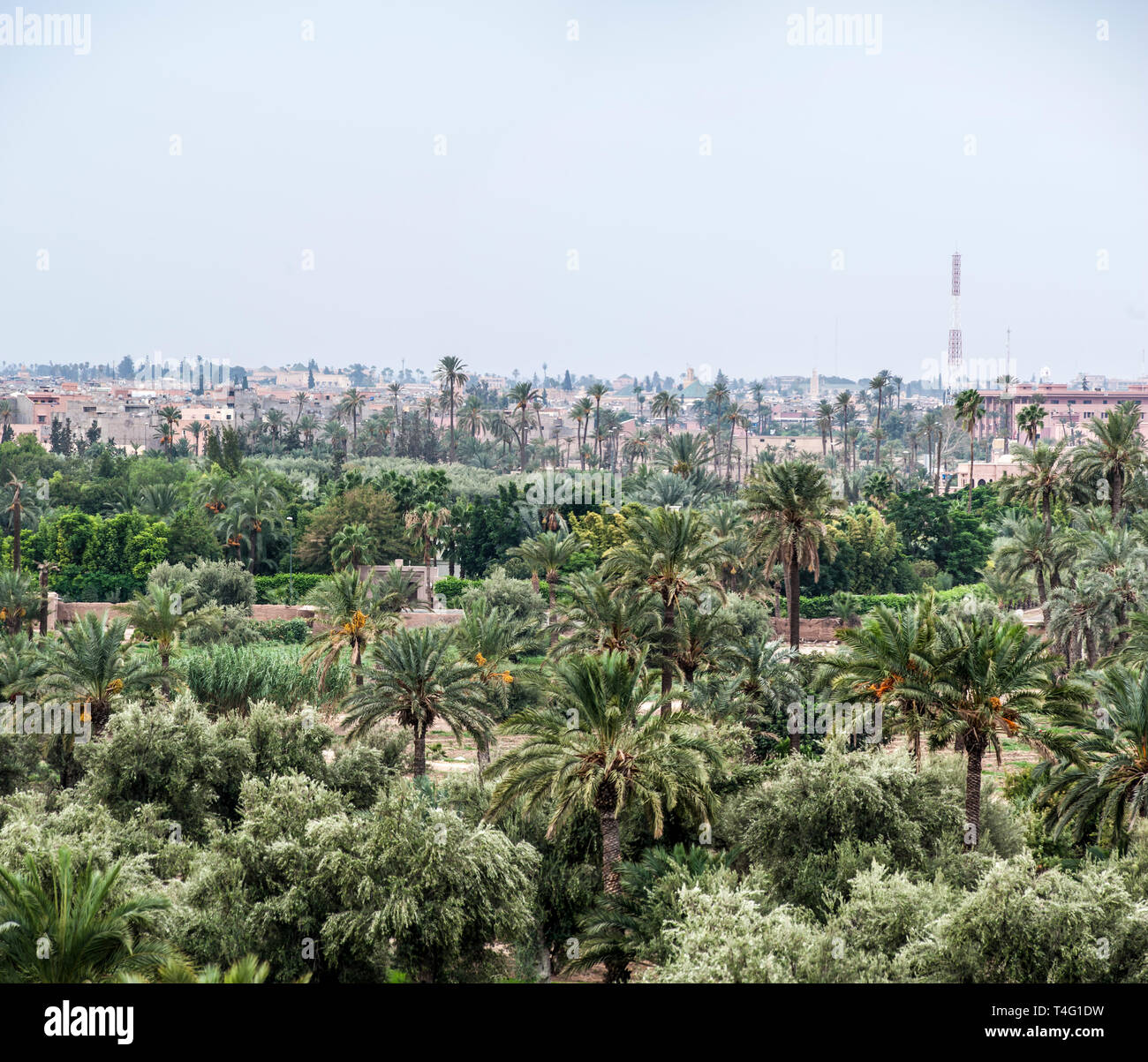 marrakech morocco rooftop view Stock Photo - Alamy
