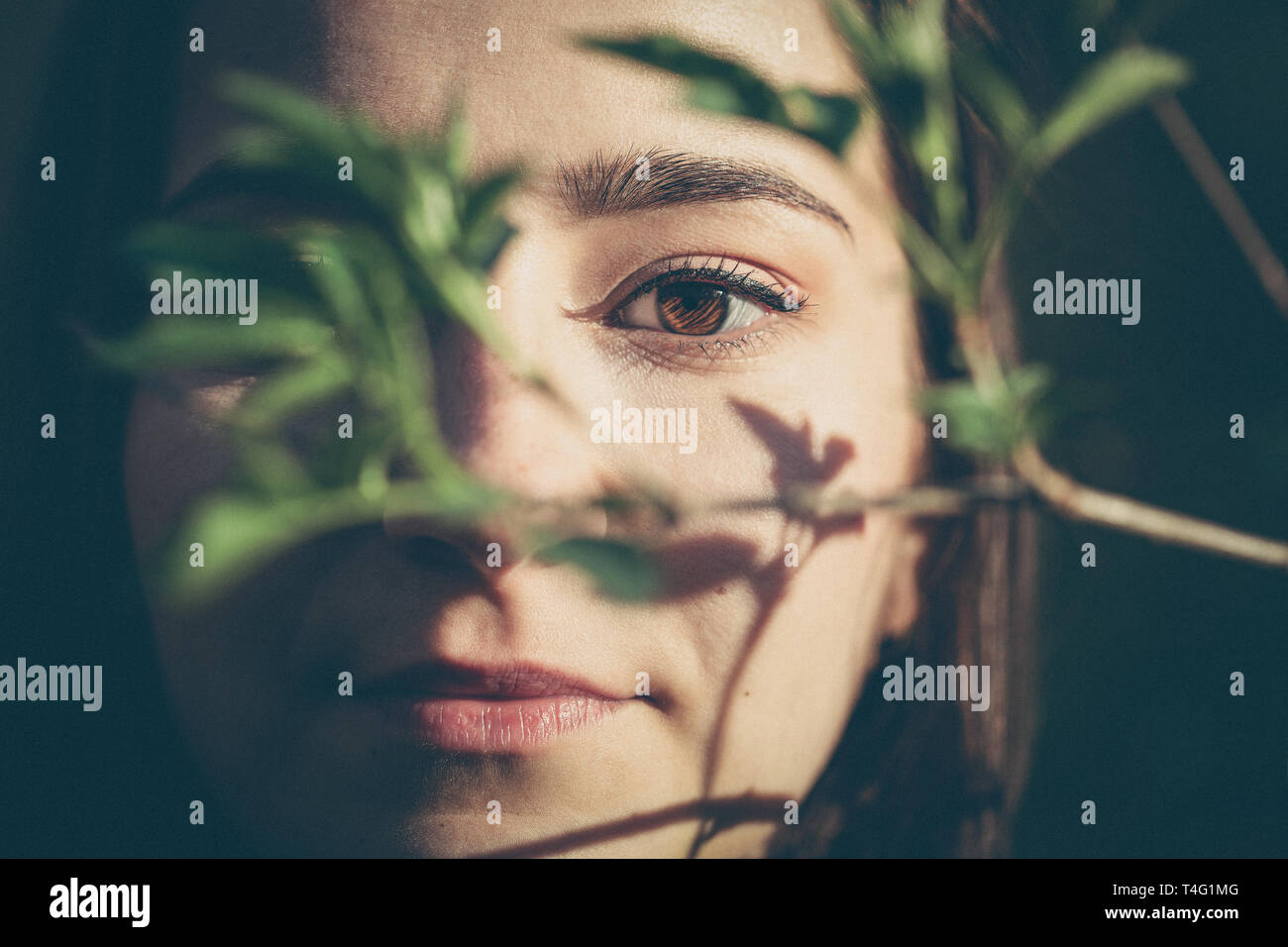 Gobo light hi-res stock photography and images - Alamy