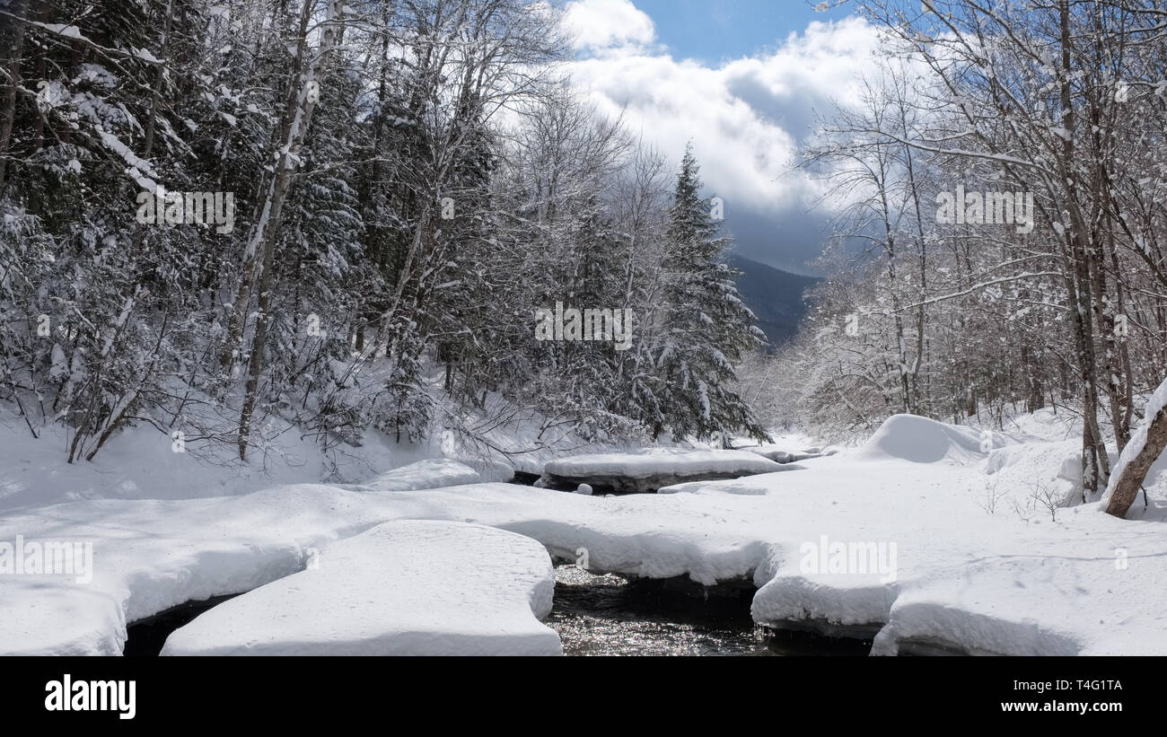 Presidential trail hi-res stock photography and images - Alamy