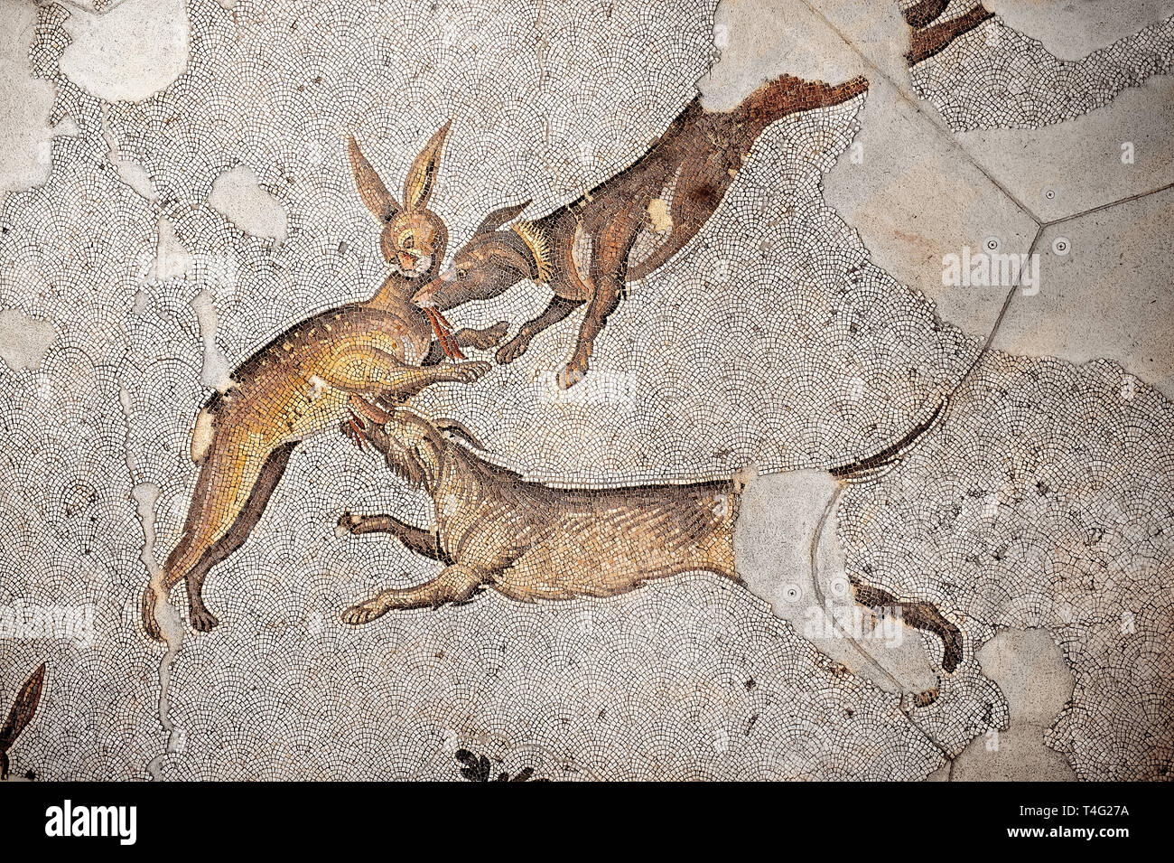 6th century Byzantine Roman hare hunt mosaics from the peristyle of the ...