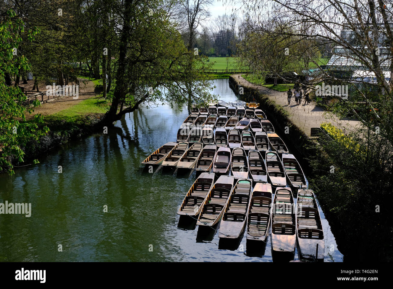 Punts on the river cherwell hi-res stock photography and images - Alamy