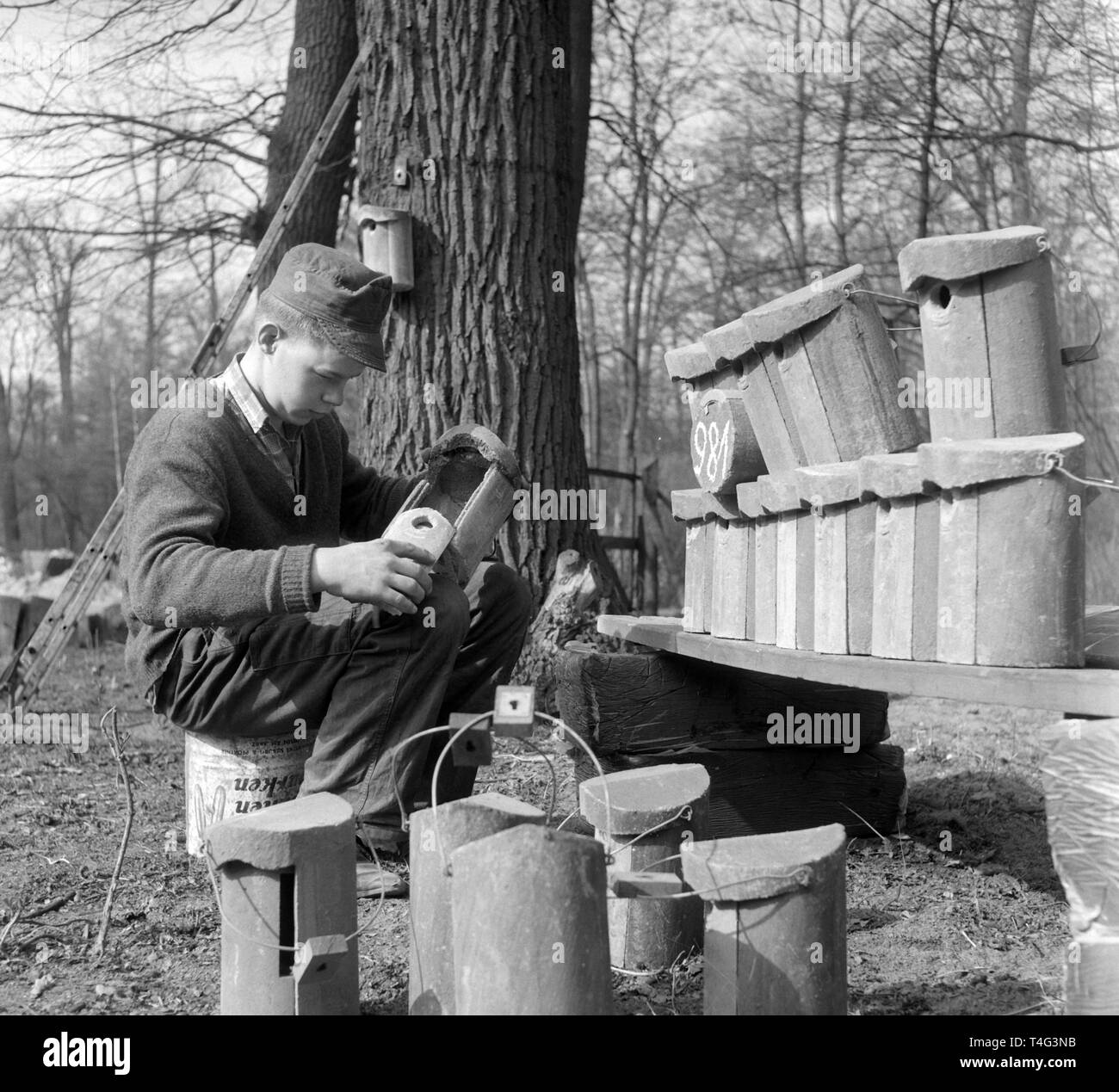 More than 1000 bird nesting boxes, which are used especially by the ...