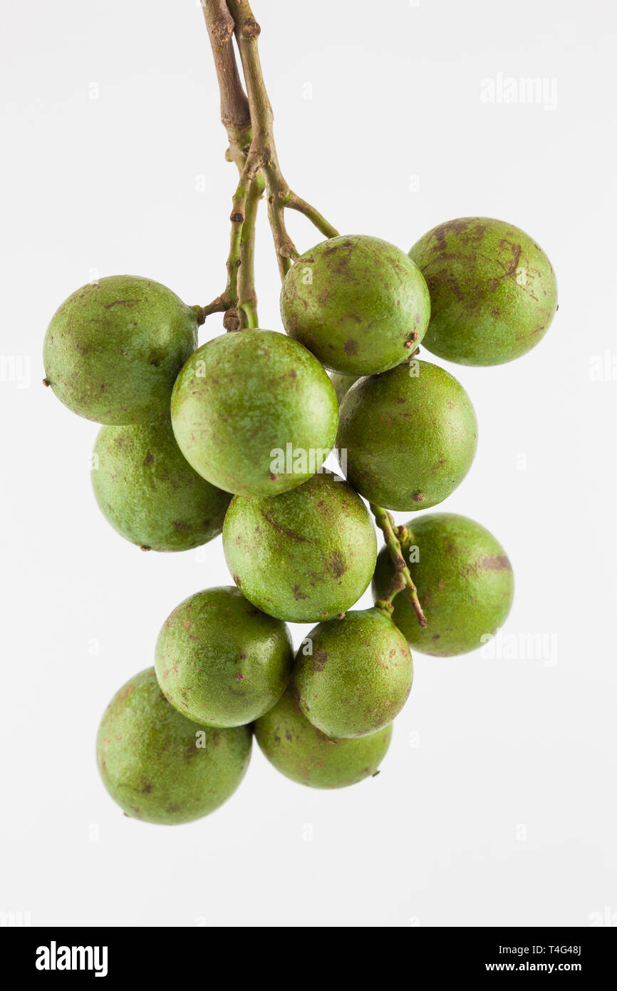 Delicious exotic tropical fruit called Melicoccus bijugatus Stock Photo ...