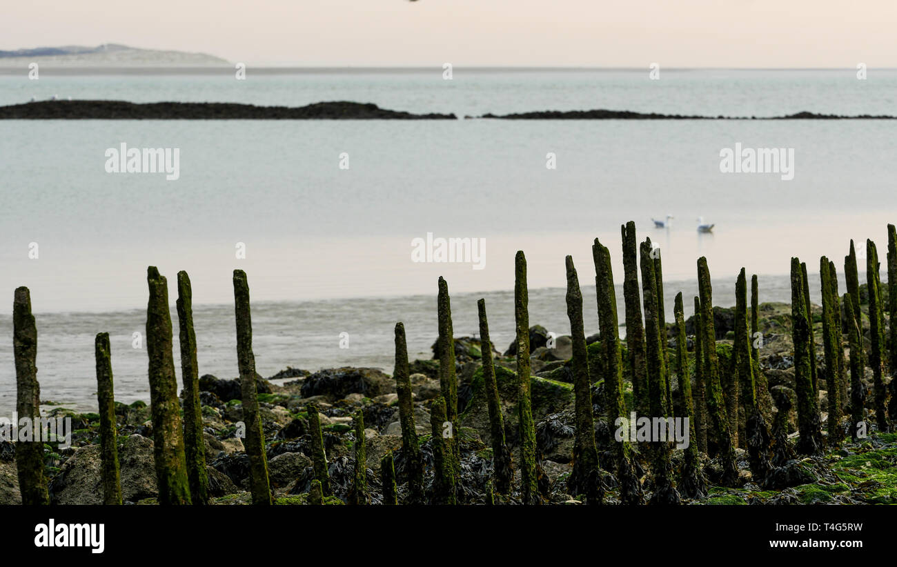 Authie Bay, Berck, Picardie,Hauts de France, France Stock Photo - Alamy