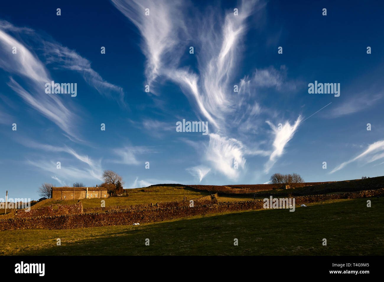 Mare's tail clouds hi-res stock photography and images - Alamy