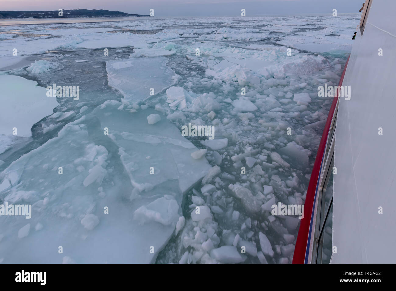 Drift Ice and tourist cruise on the Sea of Okhotsk in Abashiri,Hokkaido ...