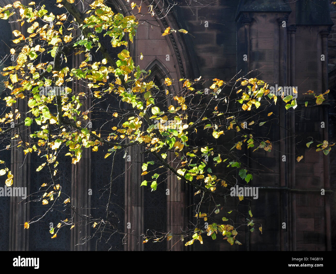 Autumn leaves against background of Cathedral dedicated to Christ and ...