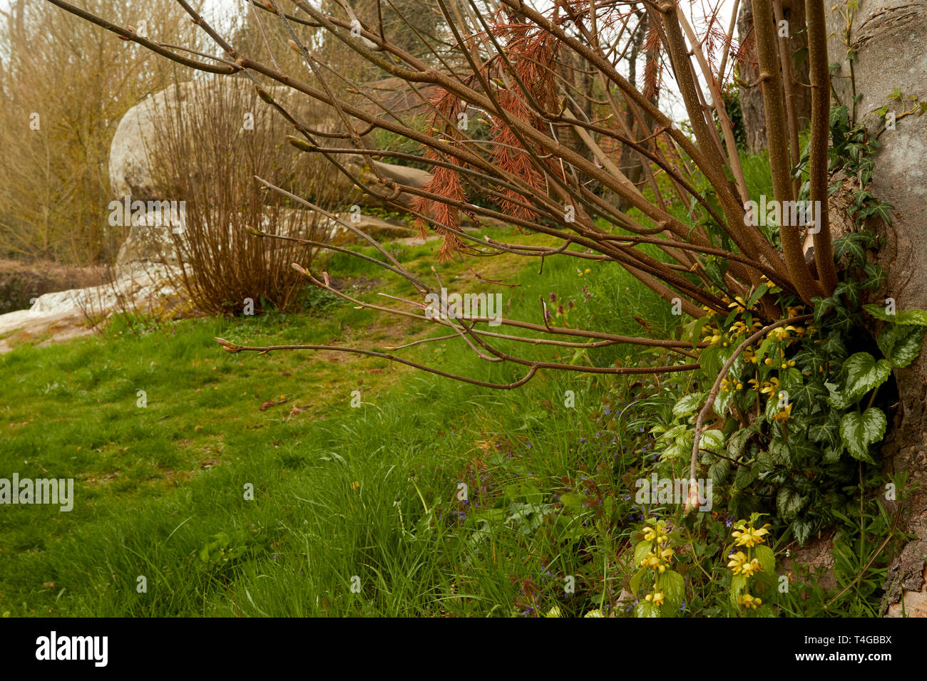 Chiddingstone’s Chiding Stone, Kent, England Stock Photo - Alamy