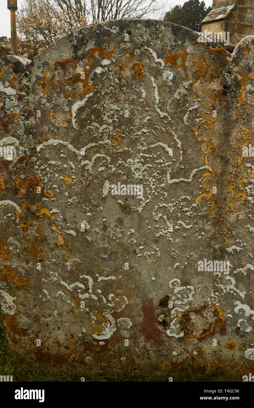 Abstract patterns of moss and decay on stonework Stock Photo - Alamy