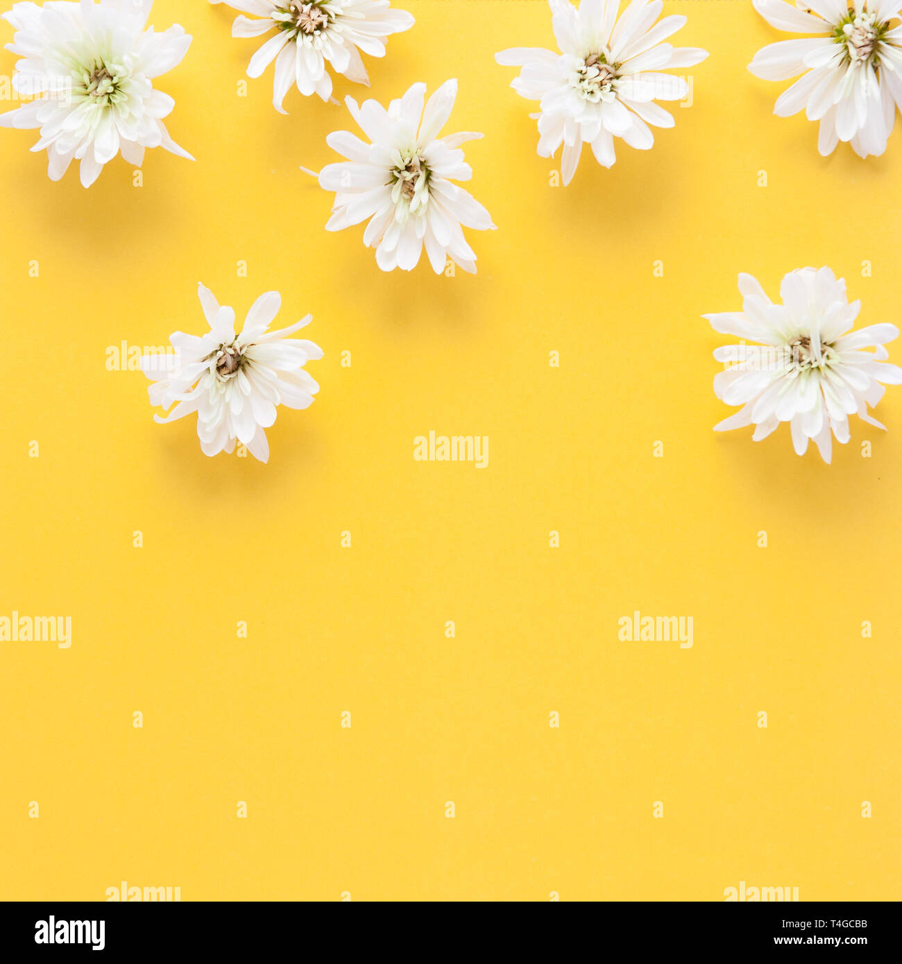 Square crop hi-res stock photography and images - Alamy