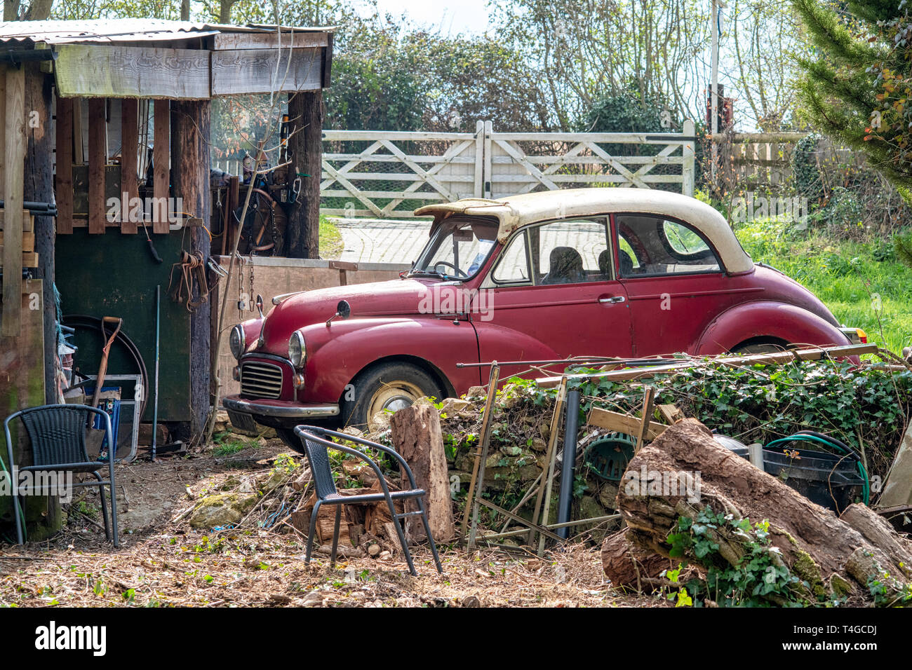1958 Morris Minor in Janes Enchanted Tea Garden on the oxford canal ...