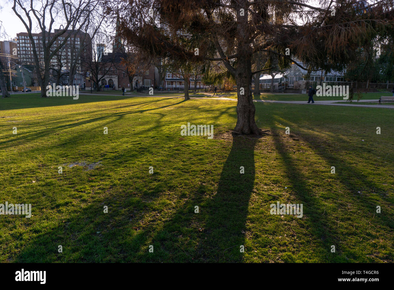 Nature Of Allen Gardens High Resolution Stock Photography and Images ...