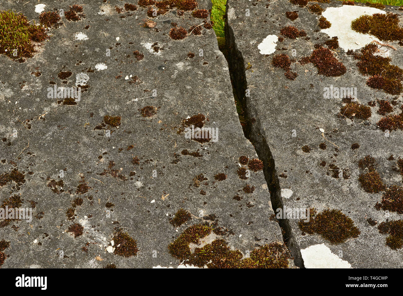 Abstract patterns of moss and decay on stonework Stock Photo - Alamy