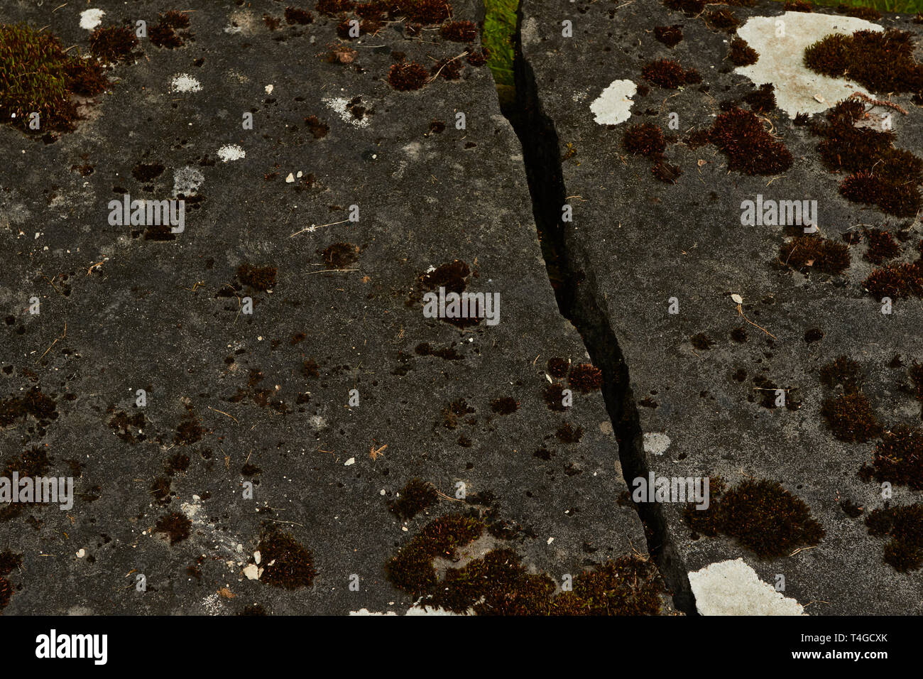 Abstract patterns of moss and decay on stonework Stock Photo - Alamy