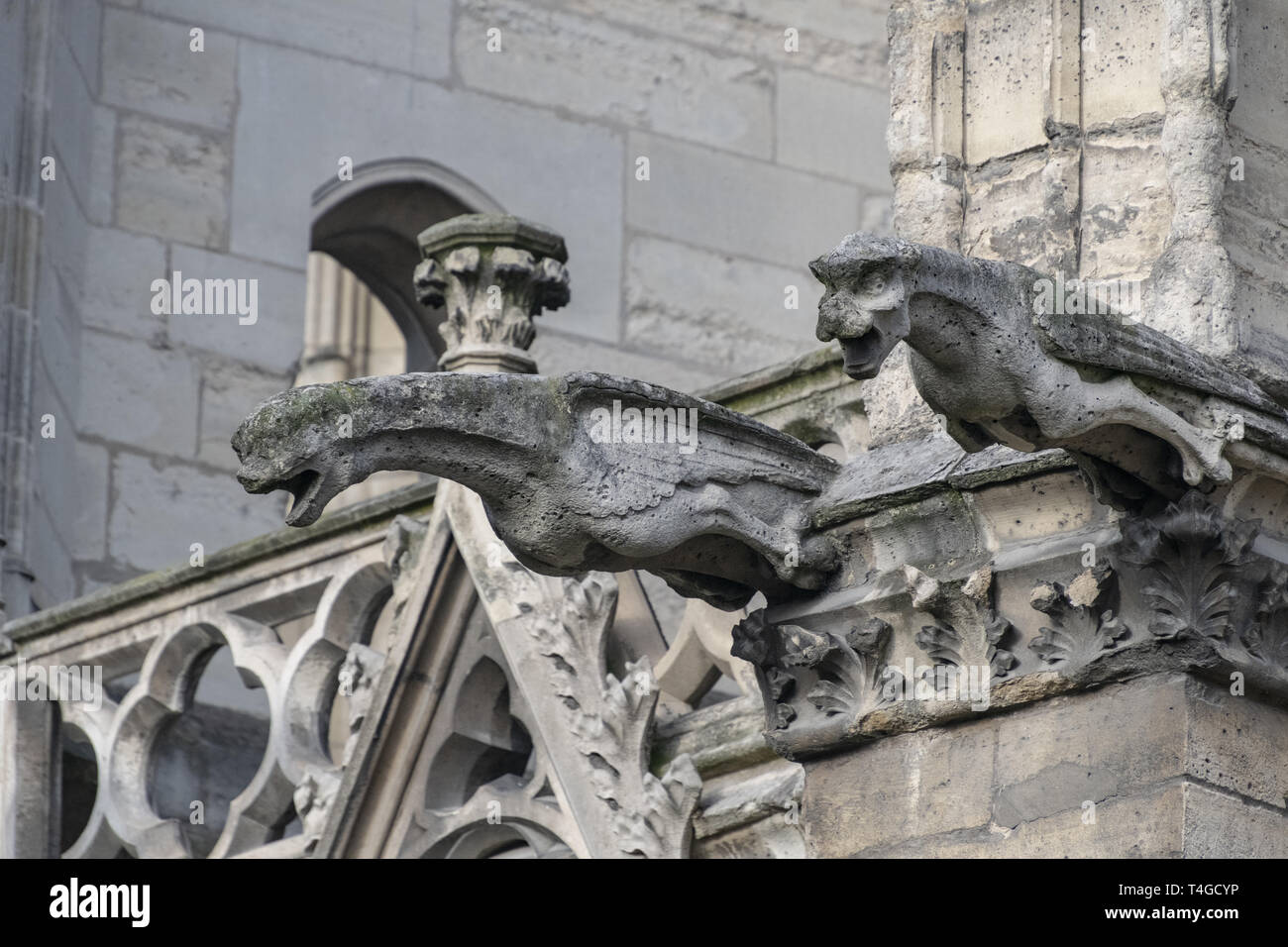 Ancient stone water rain drain hi-res stock photography and images - Alamy