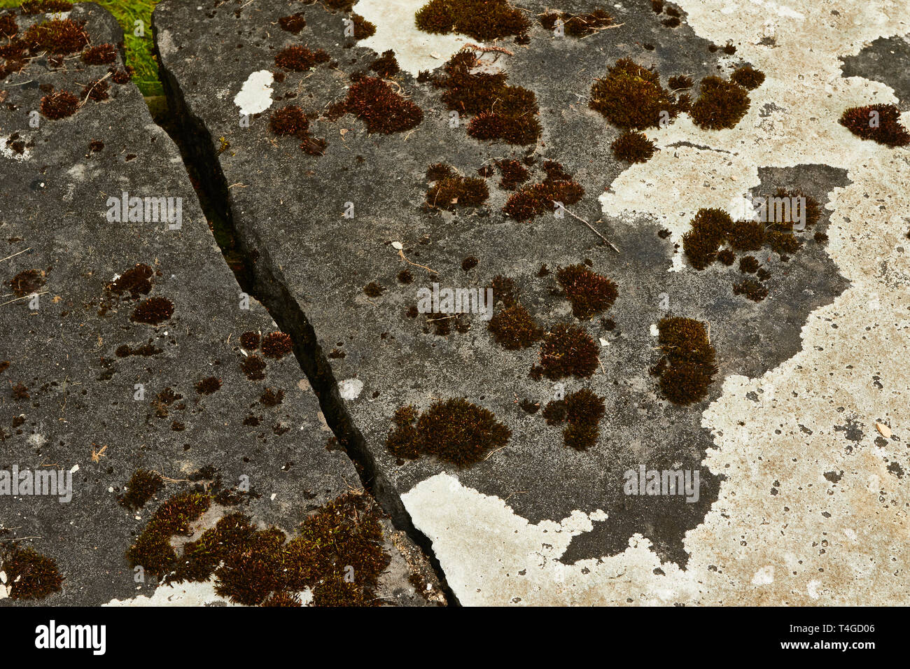 Abstract patterns of moss and decay on stonework Stock Photo - Alamy