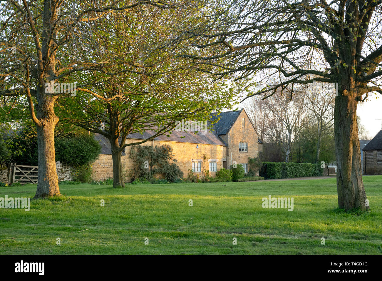 Cottage in the evening spring sunlight in the village of Sutton under ...