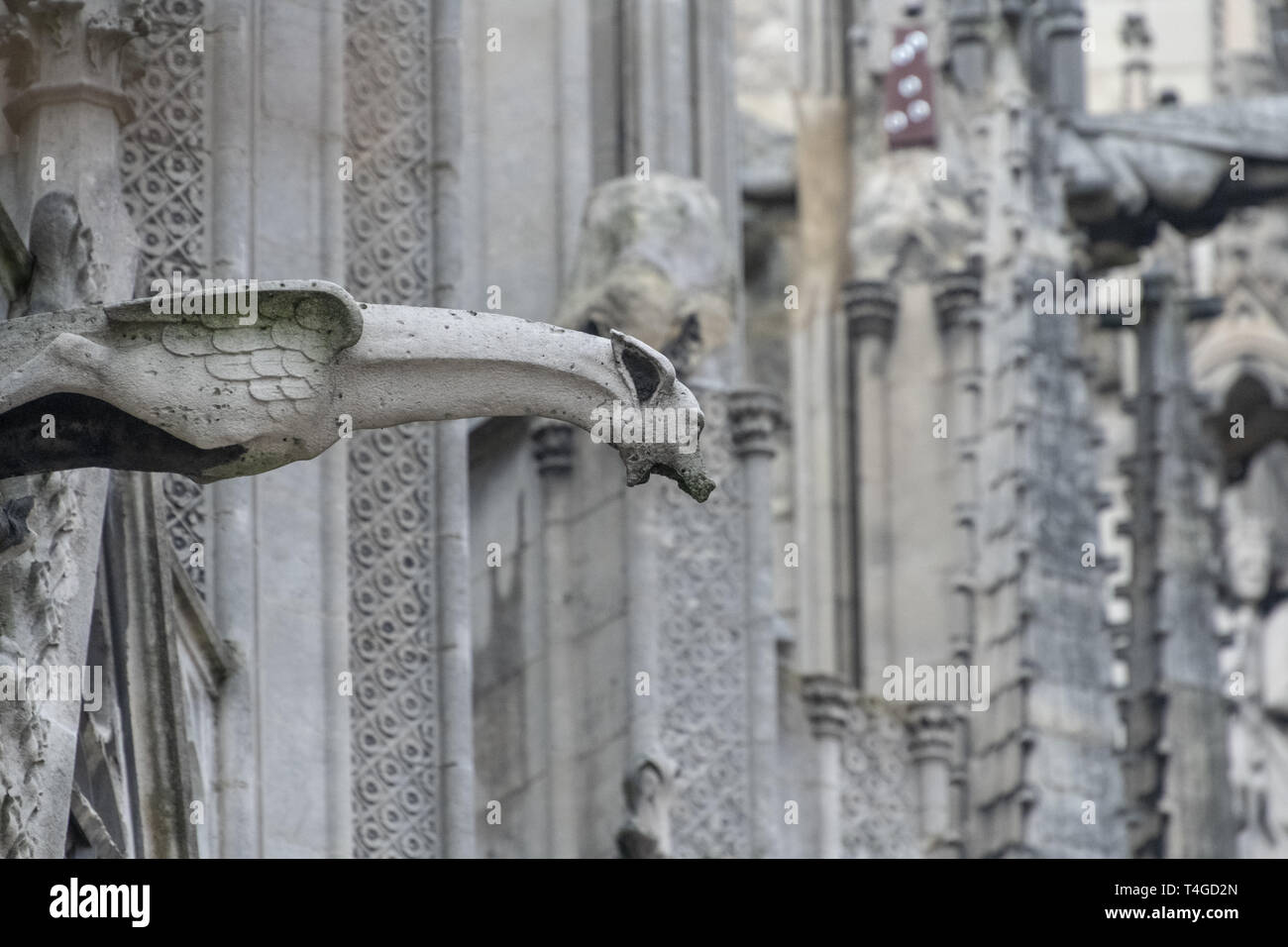 The famous gargoyles of Notre Dame de Paris, a gothic architectural ...