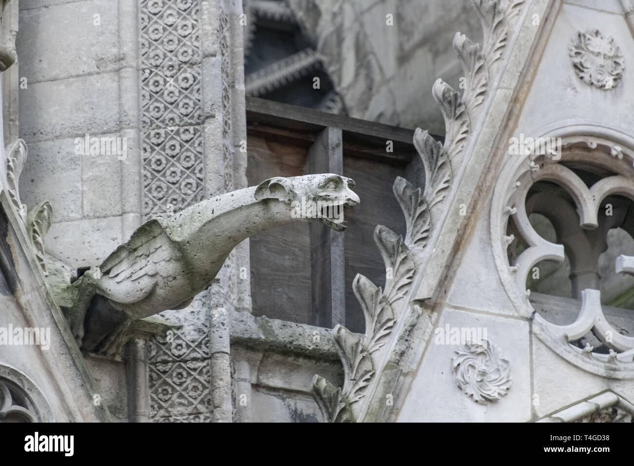 The famous gargoyles of Notre Dame de Paris, a gothic architectural ...