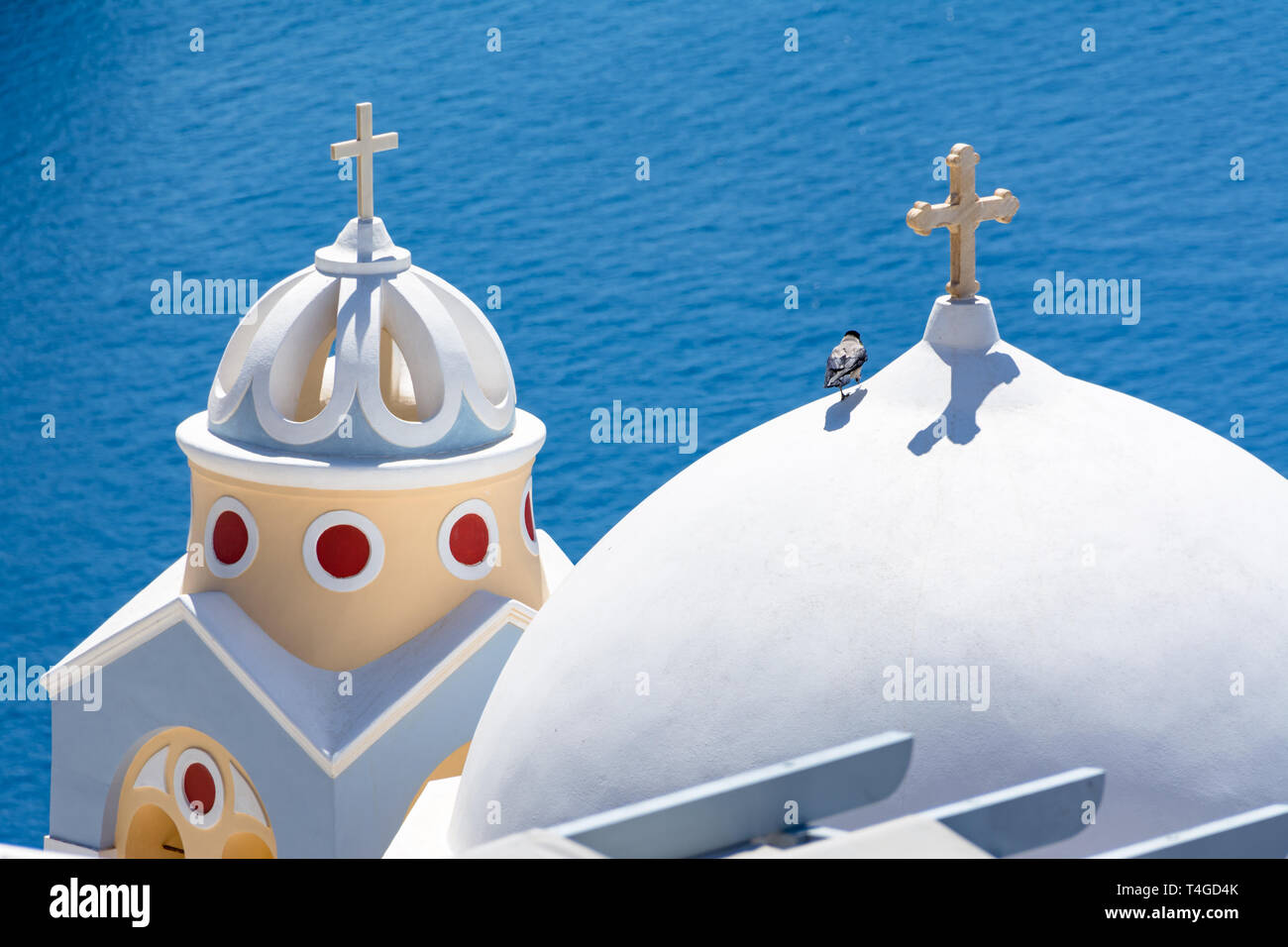 Crow on the church Stock Photo - Alamy