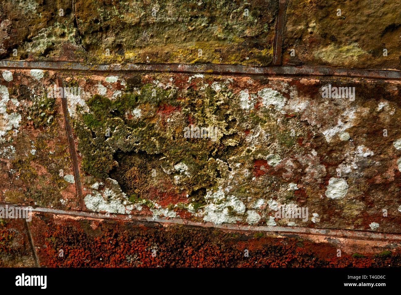 Abstract patterns of moss and decay on stonework Stock Photo - Alamy