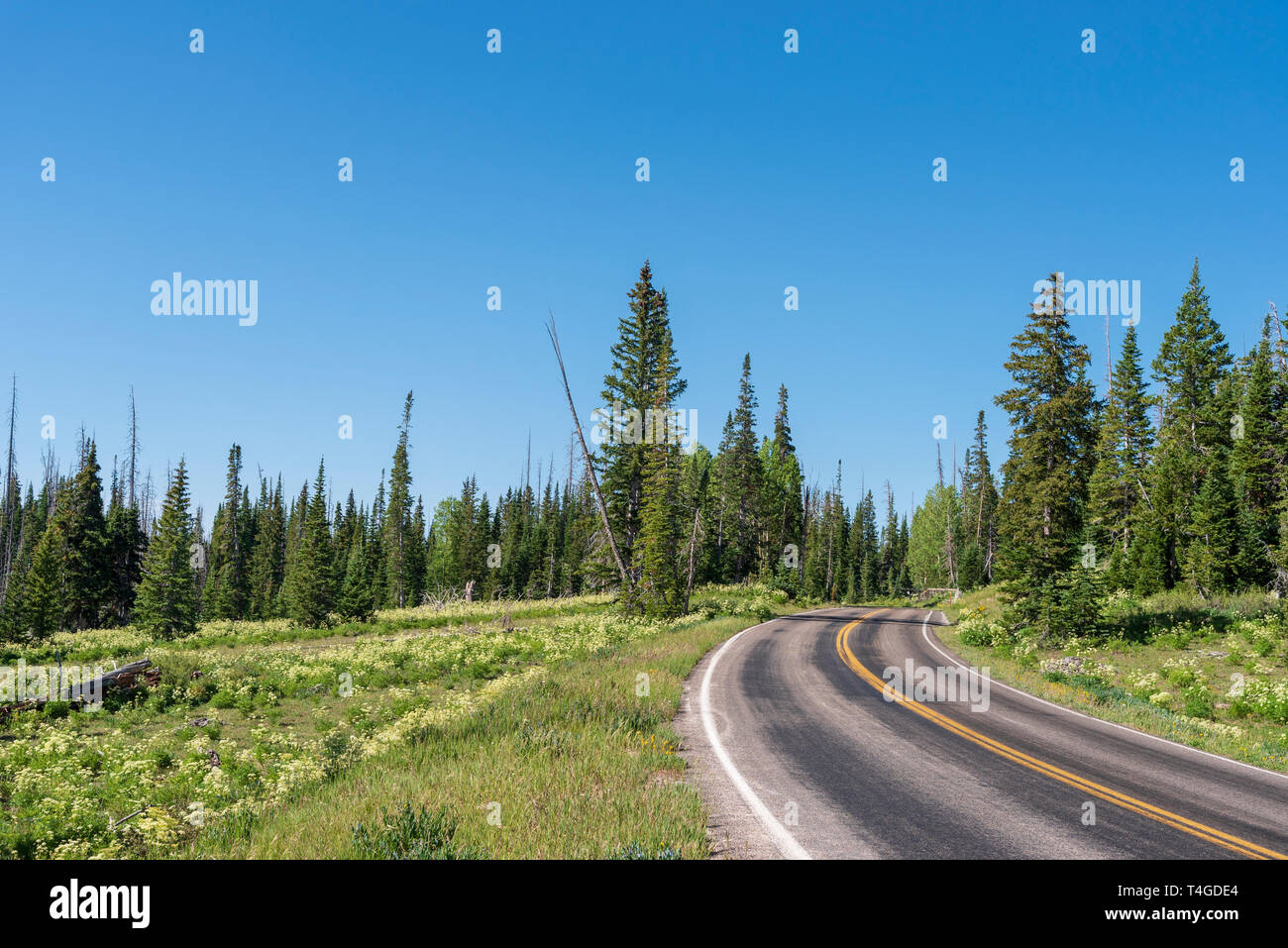 Paved country road hi-res stock photography and images - Alamy
