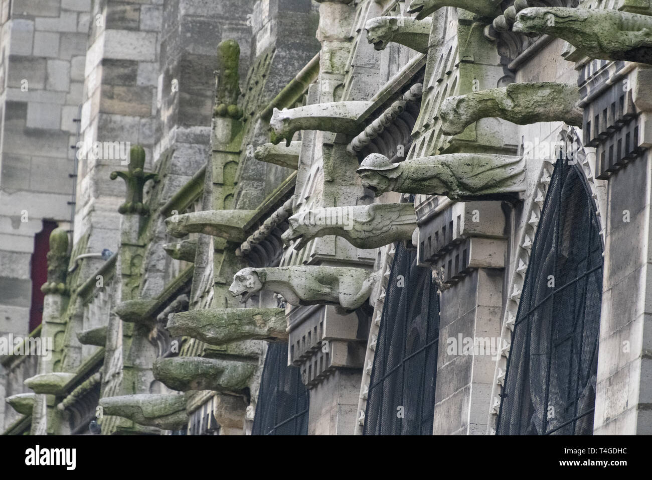 The famous gargoyles of Notre Dame de Paris, a gothic architectural ...