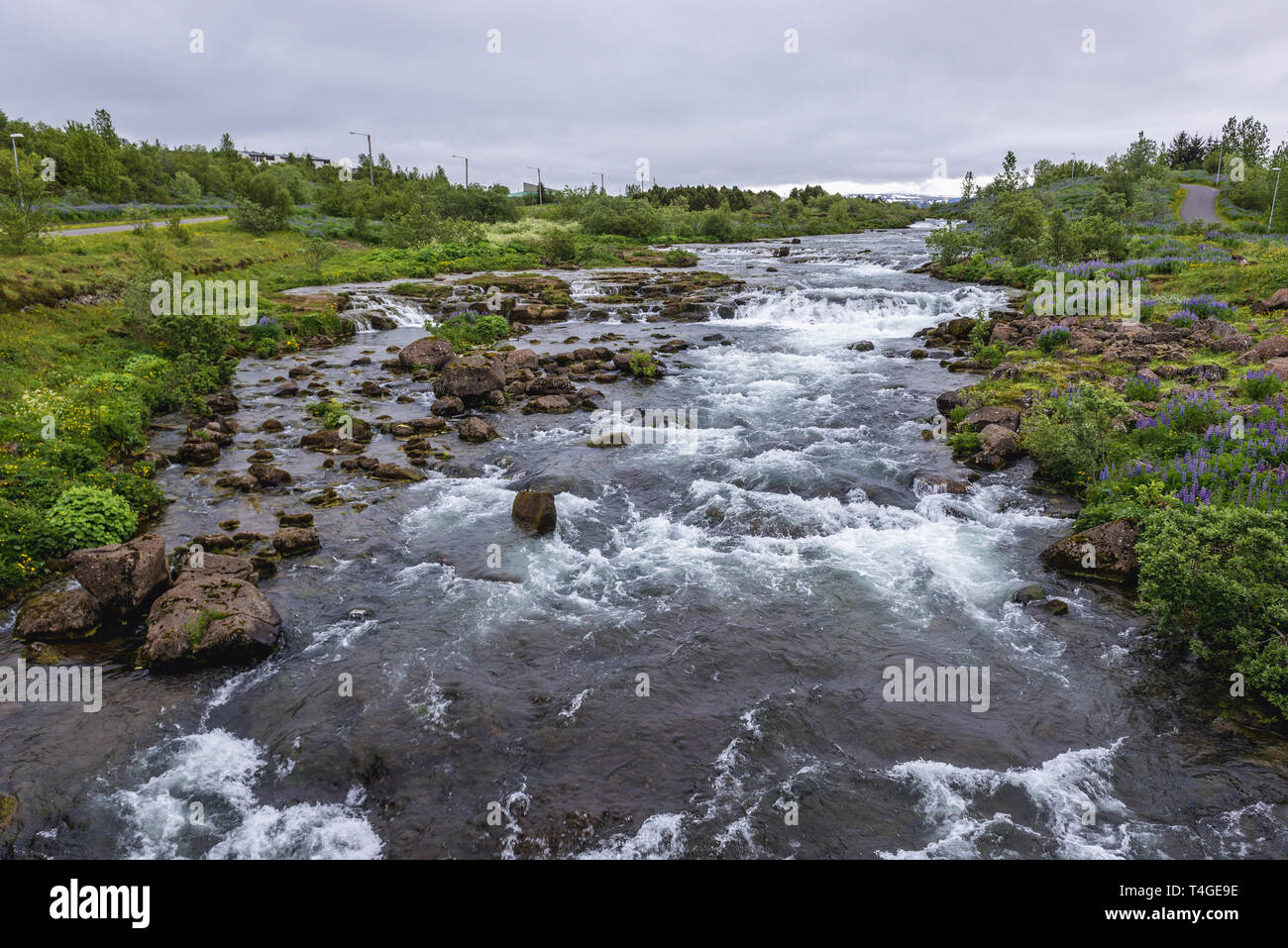 Ellidaar river in Reykjavik, Iceland Stock Photo - Alamy