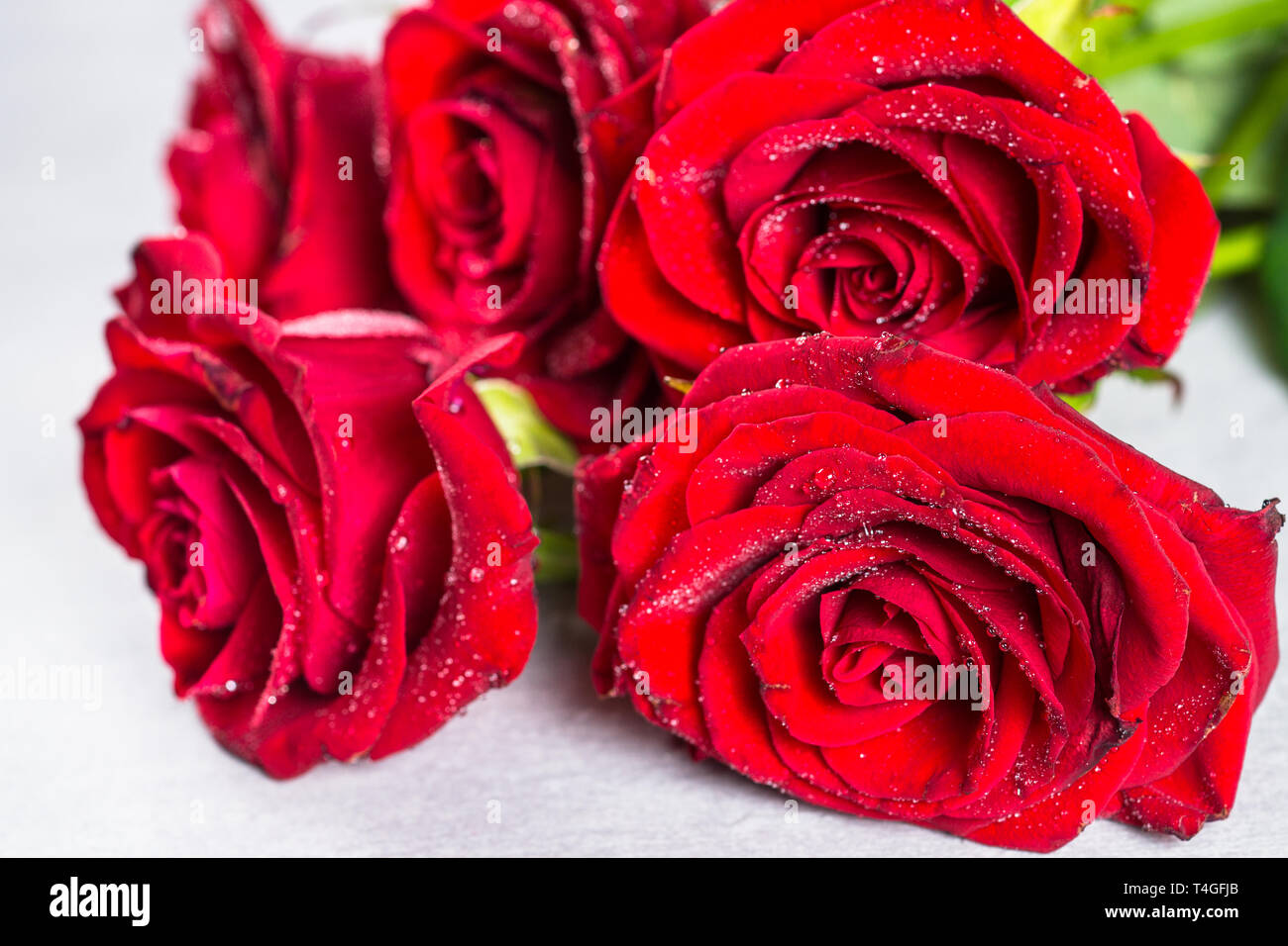 Red roses bouquet close up Stock Photo - Alamy
