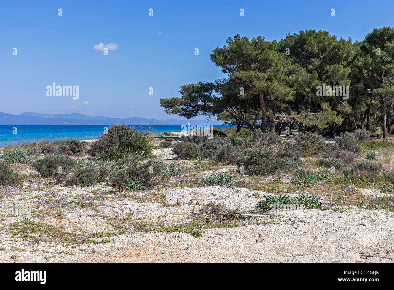 Amazing view of Lagoon Beach at Kassandra Peninsula, Chalkidiki ...