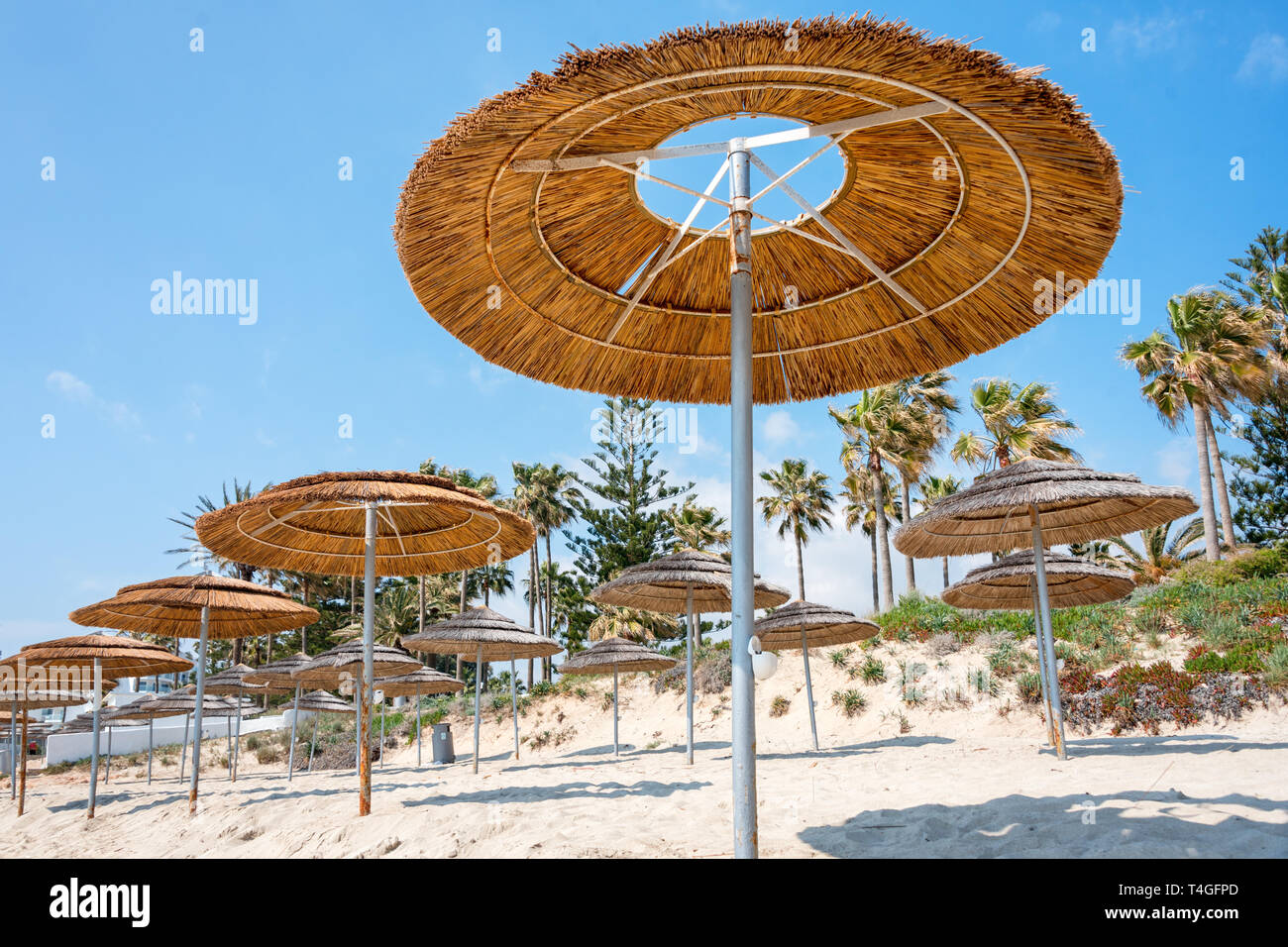 Bamboo beach parasols hi-res stock photography and images - Alamy