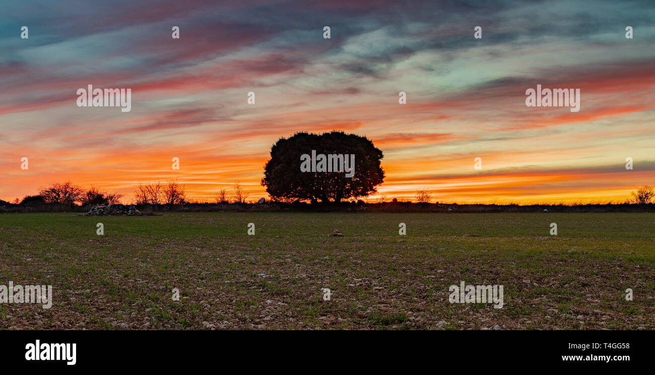 Landscape in the countryside before sunset Stock Photo - Alamy