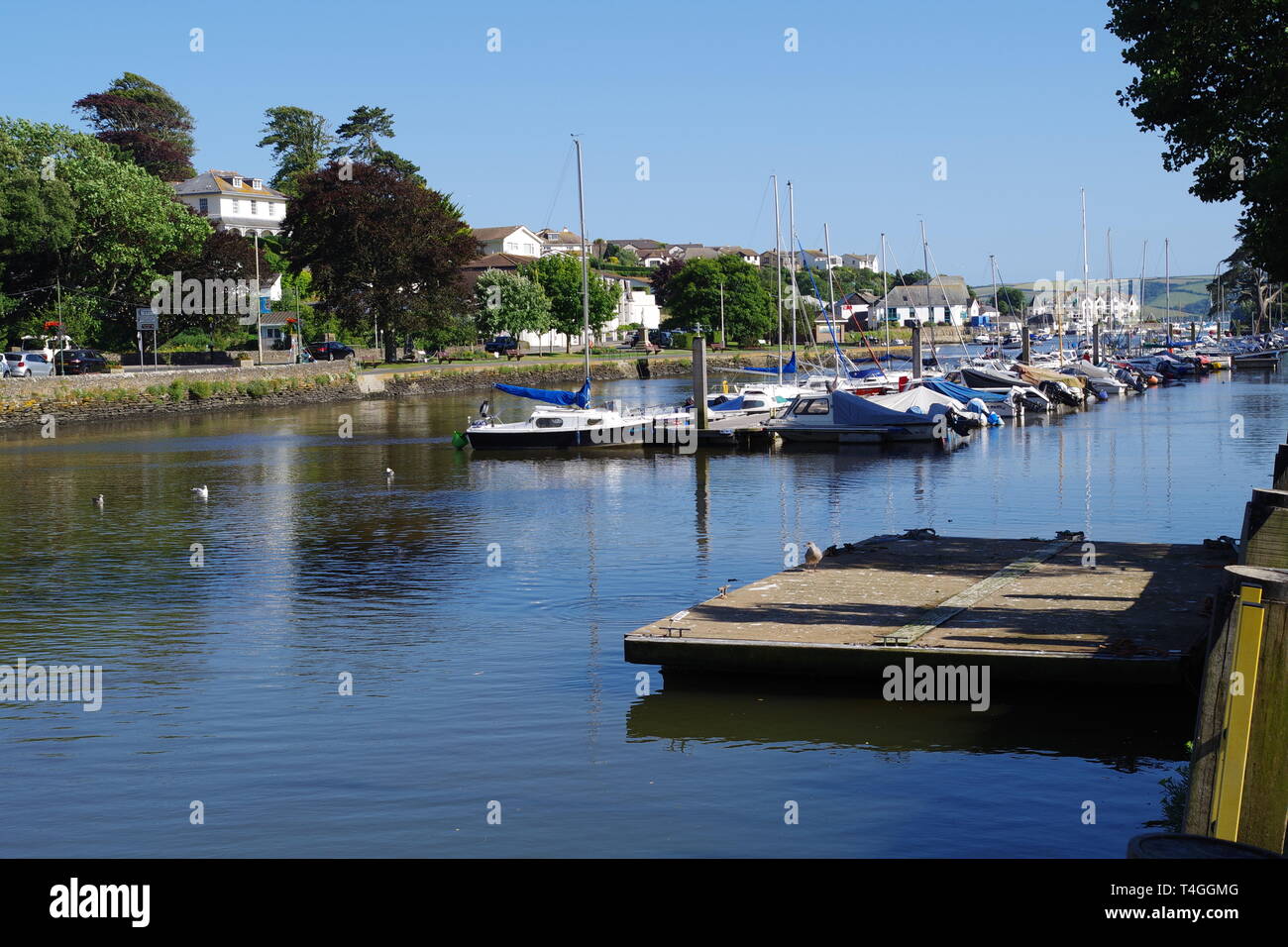 Kingsbridge market hi-res stock photography and images - Alamy