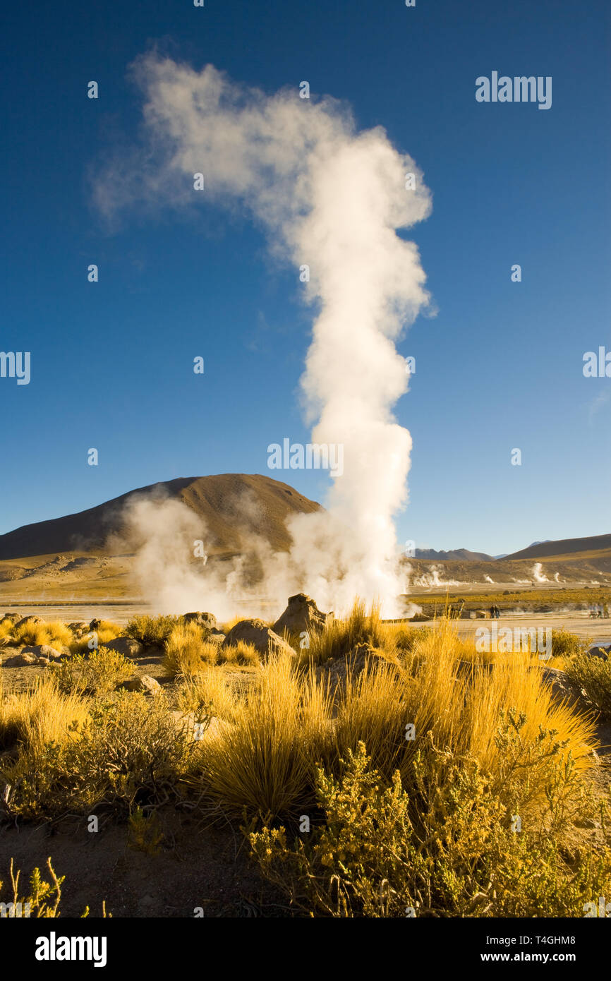 Geysers and fumaroles hi-res stock photography and images - Alamy