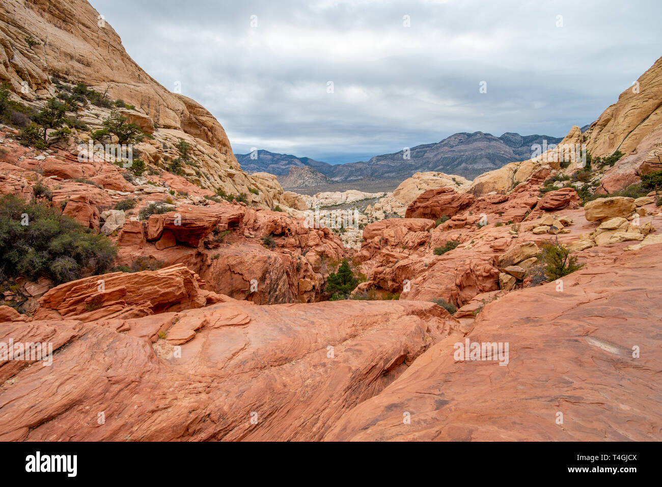 The Red Rock Canyon National Conservation Area near Las Vegas Stock ...