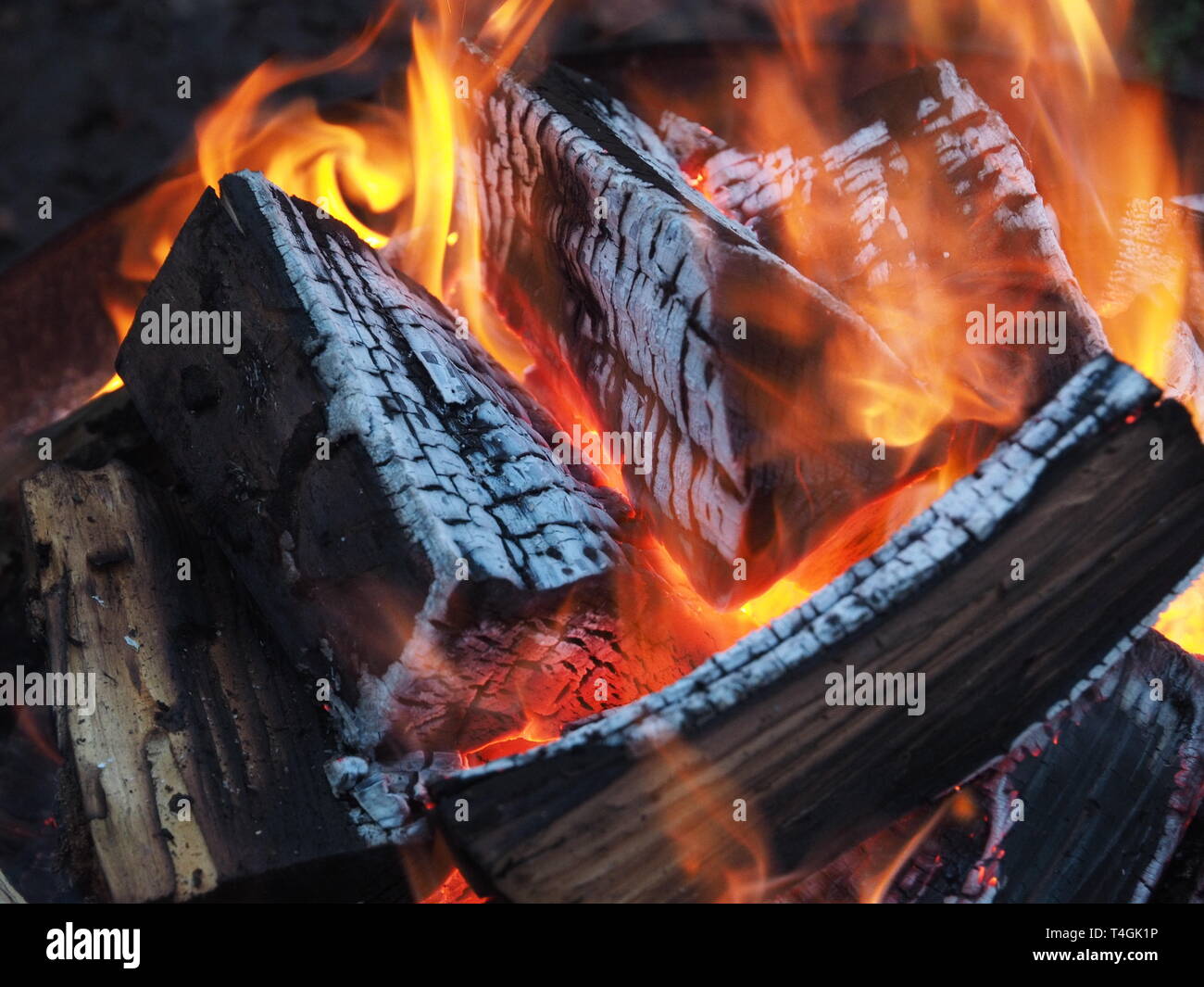 Closeup of a burning campfire with colorful flames Stock Photo - Alamy