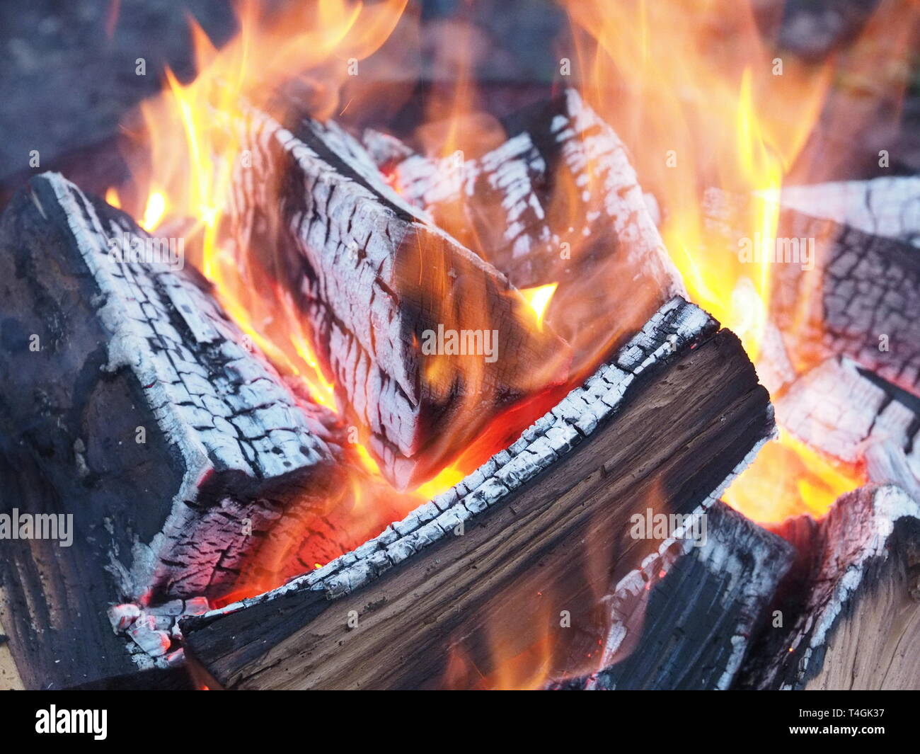 Closeup of a burning campfire with colorful flames Stock Photo - Alamy