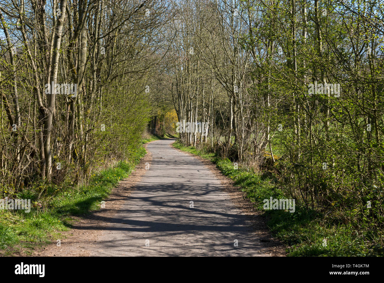 The Tramway trail near Bugsworth Basin, Buxworth, Derbyshire, England ...