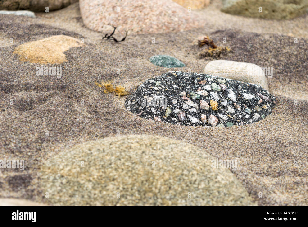 Black clastic sedimentary rock with colorful pebbles on a sandy beach ...