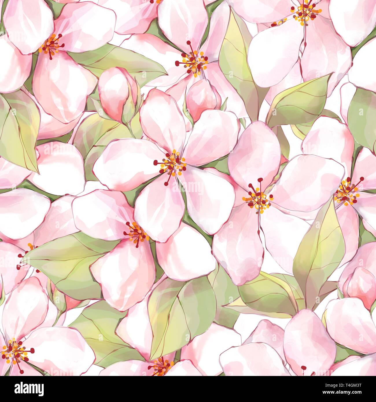 Sakura flowers seamless pattern Stock Photo - Alamy