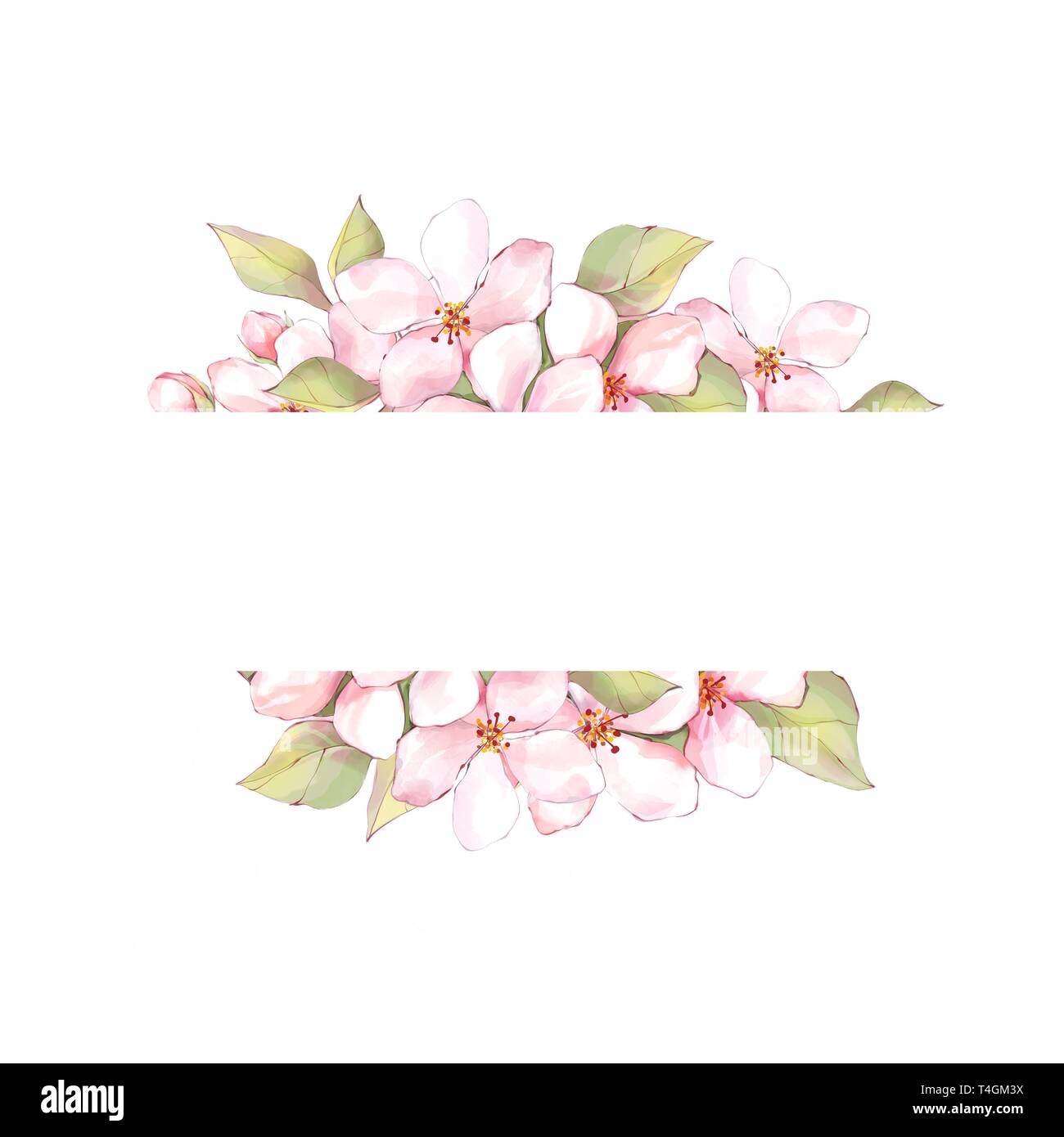 Sakura flowers frame Stock Photo - Alamy