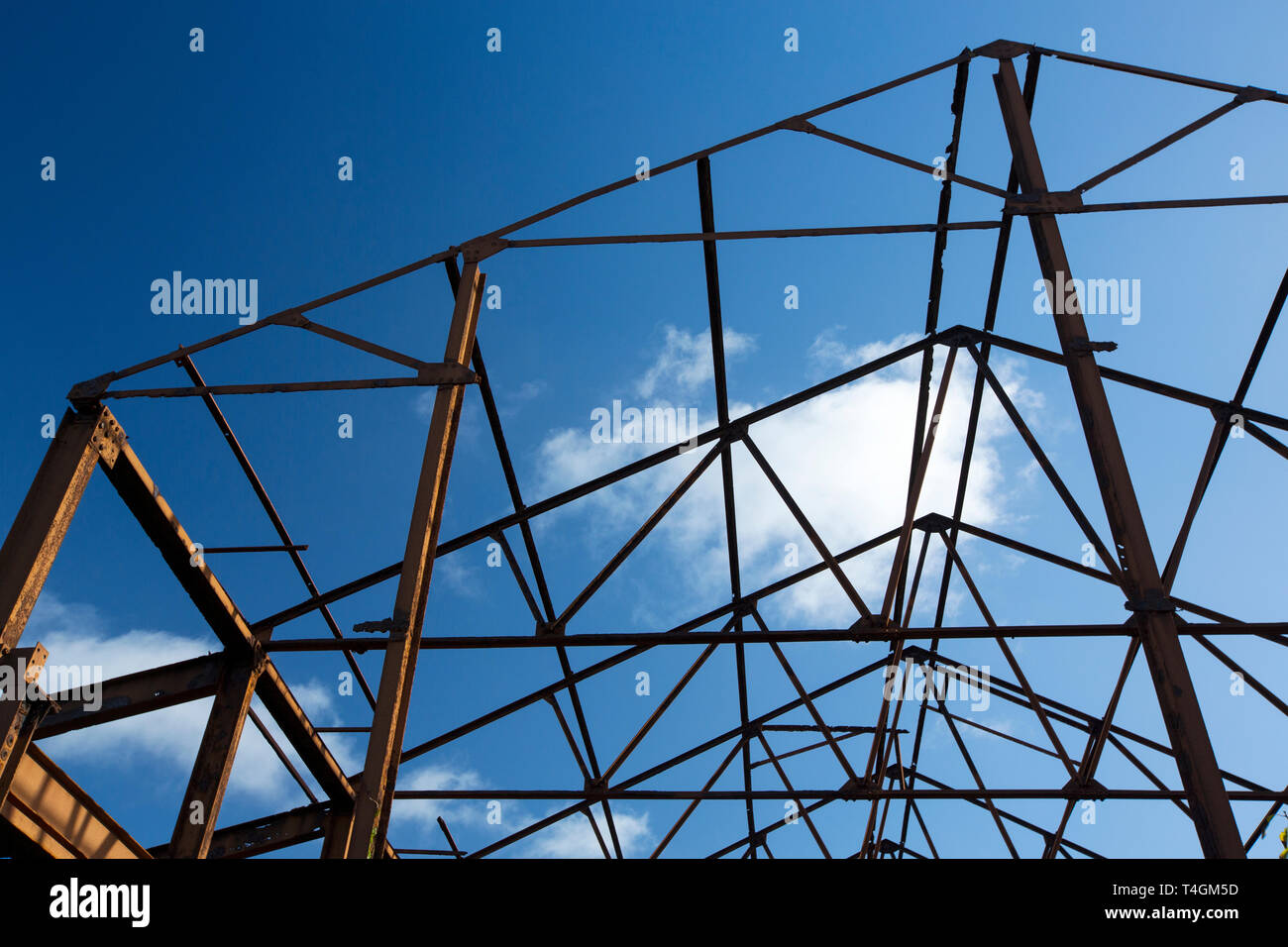 Shell framed hi-res stock photography and images - Alamy