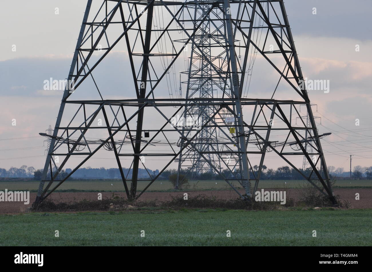 Power pylons in the Fens, looking north-west from OS grid reference ...